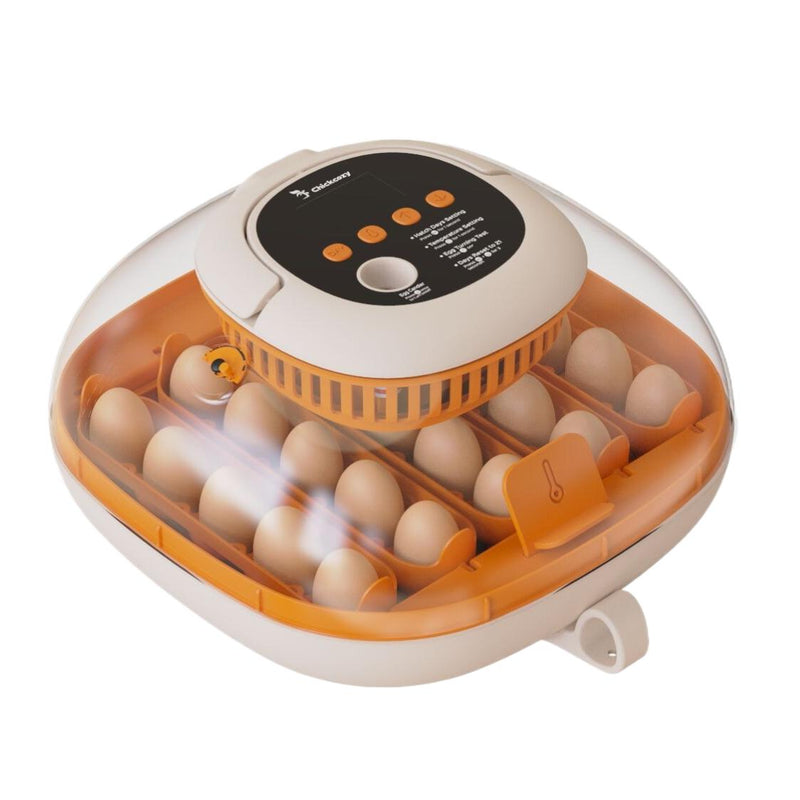 Egg Incubator, 25 Egg Capacity, with auto egg turner - Chickcozy
