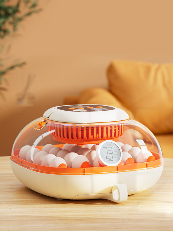 Chickcozy - The best automatic chicken coop door