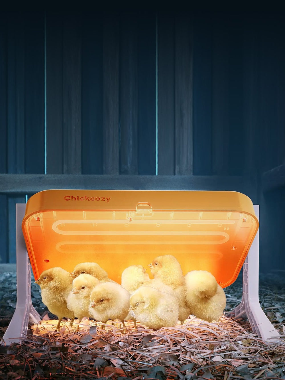 Chickcozy - The best automatic chicken coop door