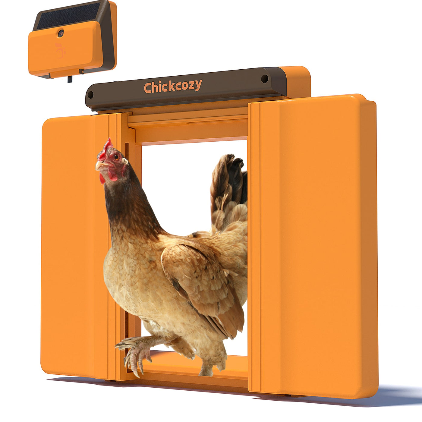 Chickcozy Solar Automatic Chicken Coop Door | Predator Proof