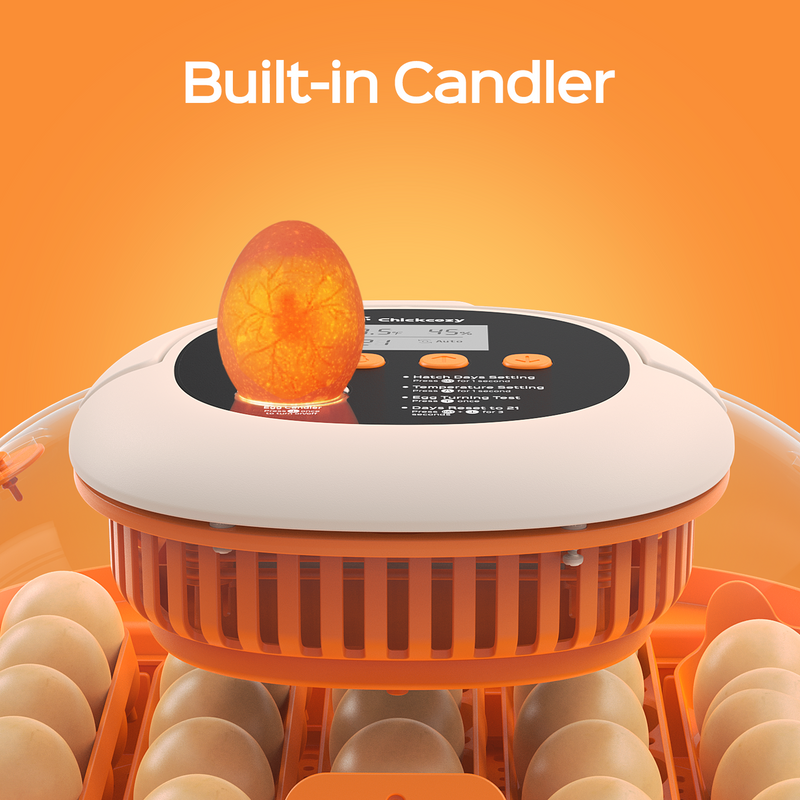 Egg Incubator, 25 Egg Capacity, with auto egg turner - Chickcozy