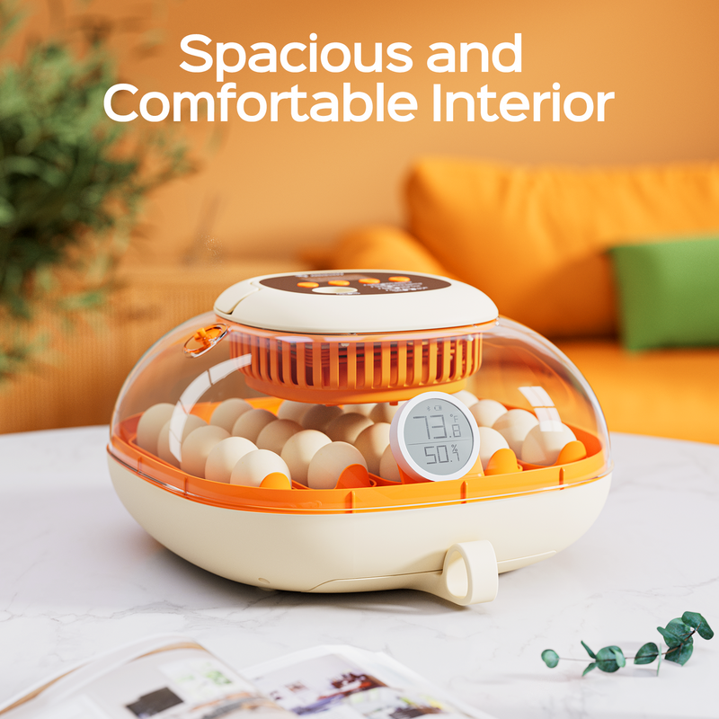 Egg Incubator, 25 Egg Capacity, with auto egg turner - Chickcozy