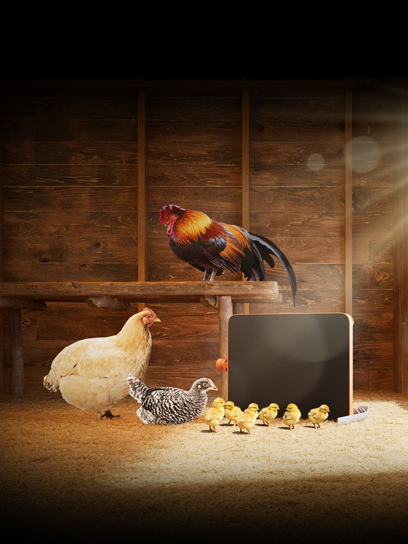 Smart Chicken coop Heater & Chick Brooder