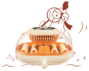 Chickcozy - The best automatic chicken coop door