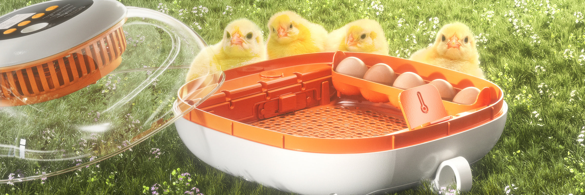 Chickcozy - The best automatic chicken coop door