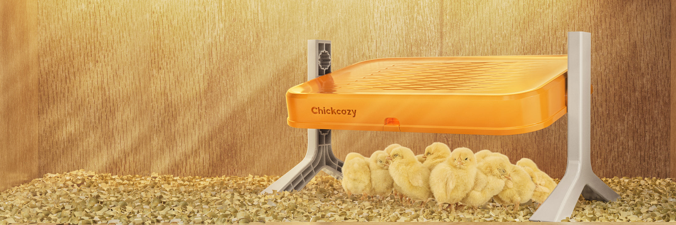 Chickcozy - The best automatic chicken coop door