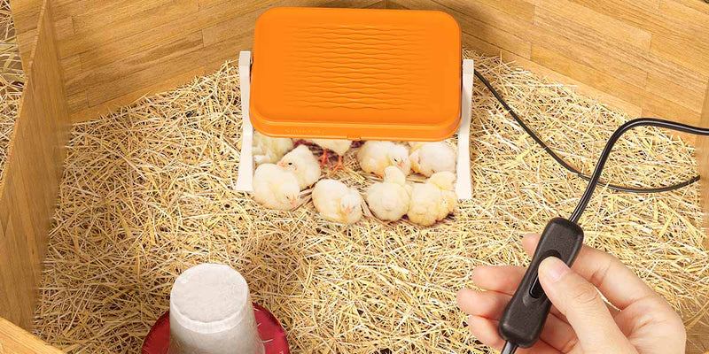 Brooder Heating Plate