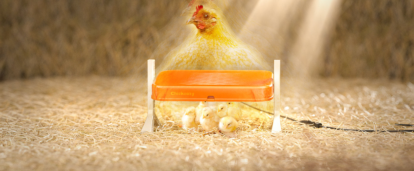 Brooder Heating Plate