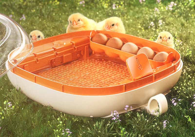 Egg Incubator