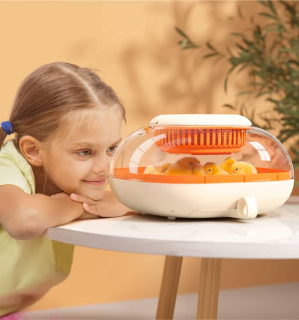 Chickcozy - The best automatic chicken coop door