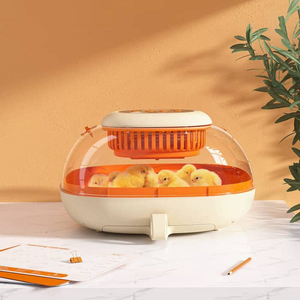 Chickcozy - The best automatic chicken coop door