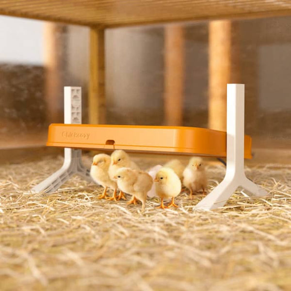 Chickcozy - The best automatic chicken coop door